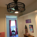 Hunter Fan 24" Seattle 4 - Blade Caged Ceiling Fan with Wall Control ...