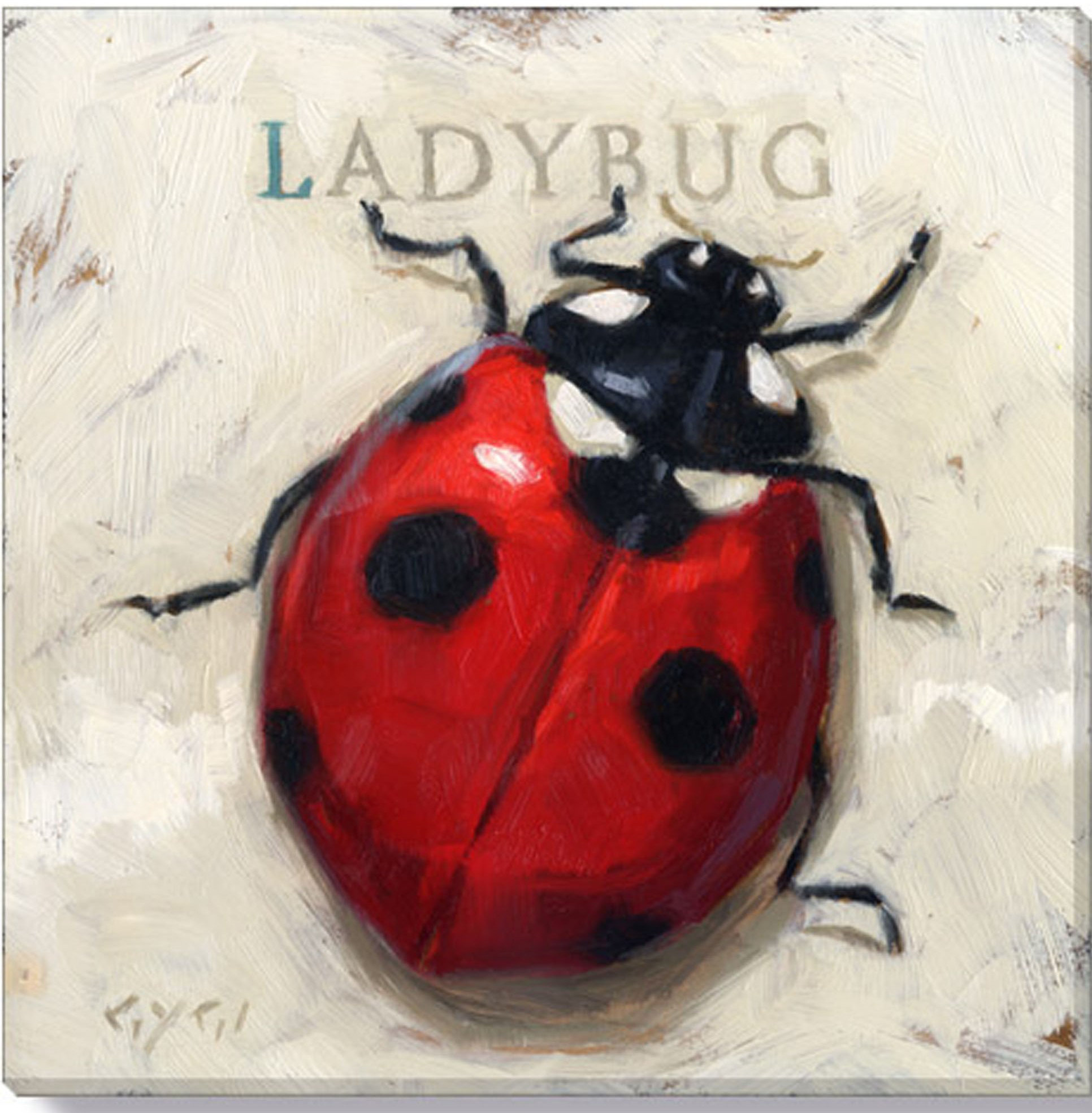 Darren Gygi Home Collection Ladybug by Darren Gygi - Wrapped Canvas ...