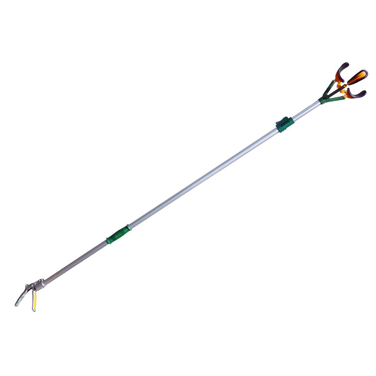 Zenport Long Reach Telescopic Fruit Harvester | Wayfair.ca