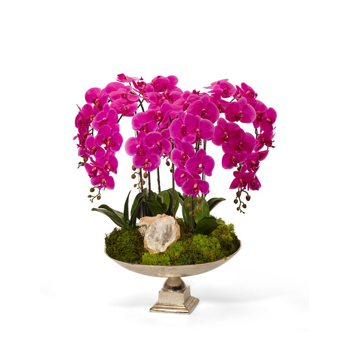 T&C Floral Company Orchid Flowering in Urn & Reviews | Wayfair