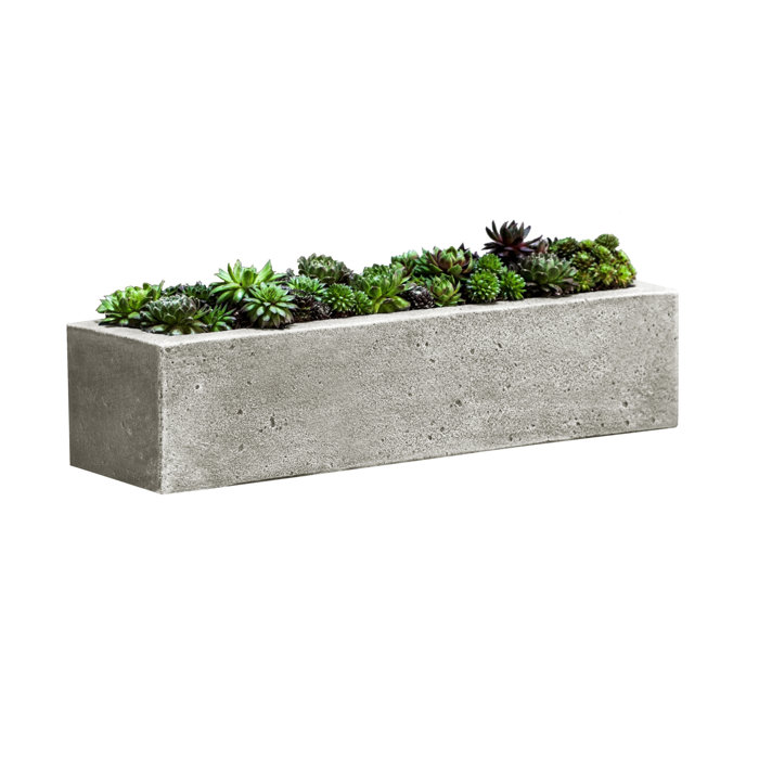 17 Stories Lakshman Cast Stone Planter Box & Reviews | Wayfair