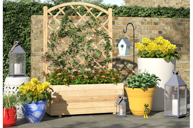 What Is a Trellis? | Wayfair