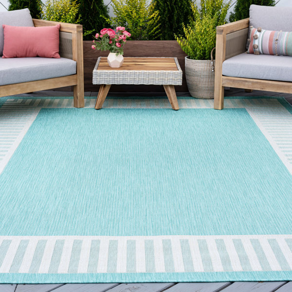 Sol 72 Outdoor™ Abington Flatweave Aqua Indoor/Outdoor Rug & Reviews ...