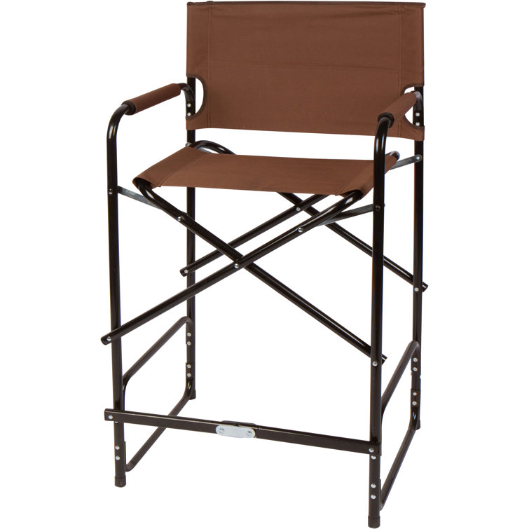 Arlmont & Co. Mclaughlin Steel Folding Director Chair | Wayfair.ca