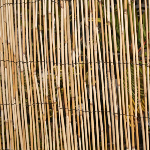 Privacy Screens You'll Love in 2022 | Wayfair.ca