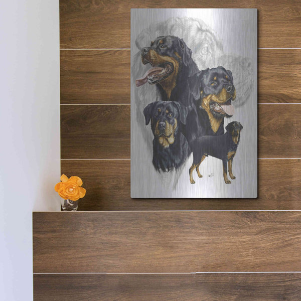 Red Barrel Studio® Luxe Metal Art 'Rottweiler' By Barbara Keith, Meta ...