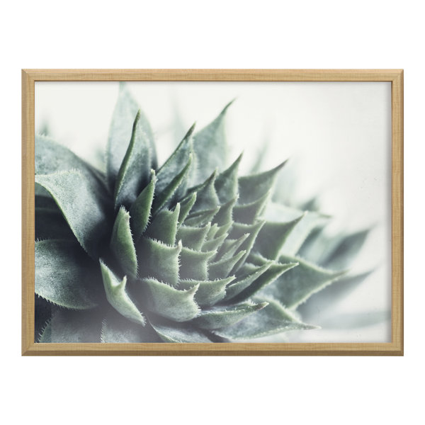 Dakota Fields Radical Succulent by - Floater Frame Photograph on Glass ...