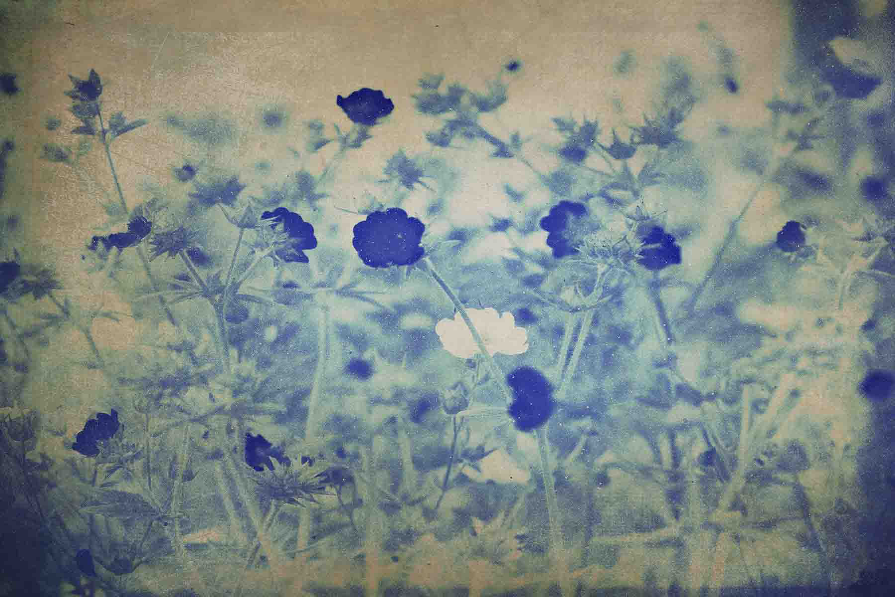 Marmont Hill Don't Worry by Jennifer Jorgensen - Graphic Art on Canvas ...