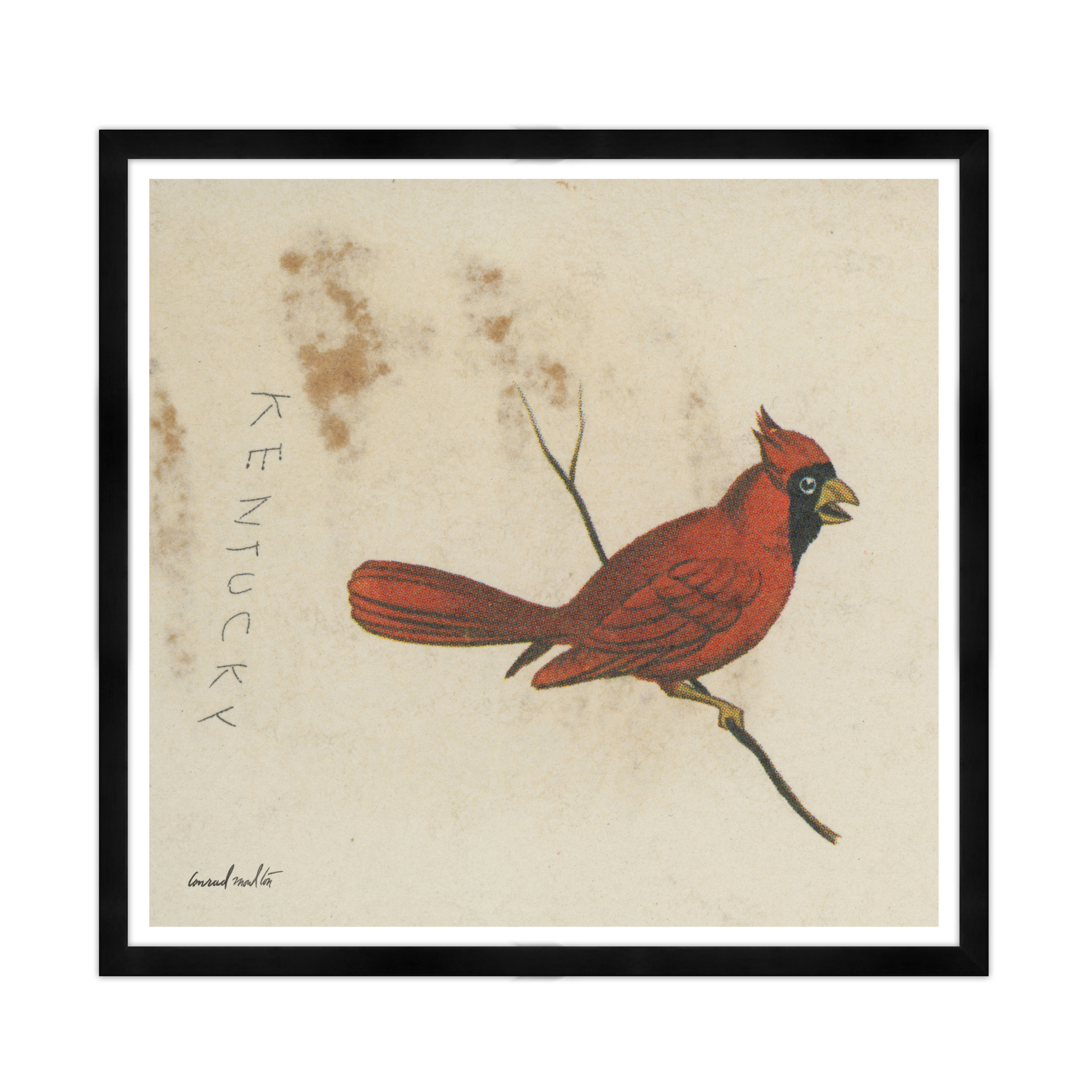 TK Home Cardinal - Picture Frame Print | Wayfair