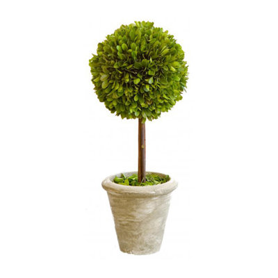 Farmhouse & Rustic Faux Plants & Trees | Birch Lane