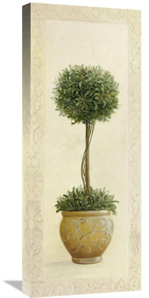 Global Gallery Topiary Ball I by Welby - Print on Canvas | Wayfair