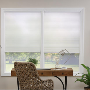 Window Blinds and Shades | Wayfair.ca