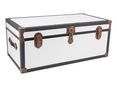 Wayfair | Extra Large (Over 45" Wide) Storage Trunks You'll Love in 2021