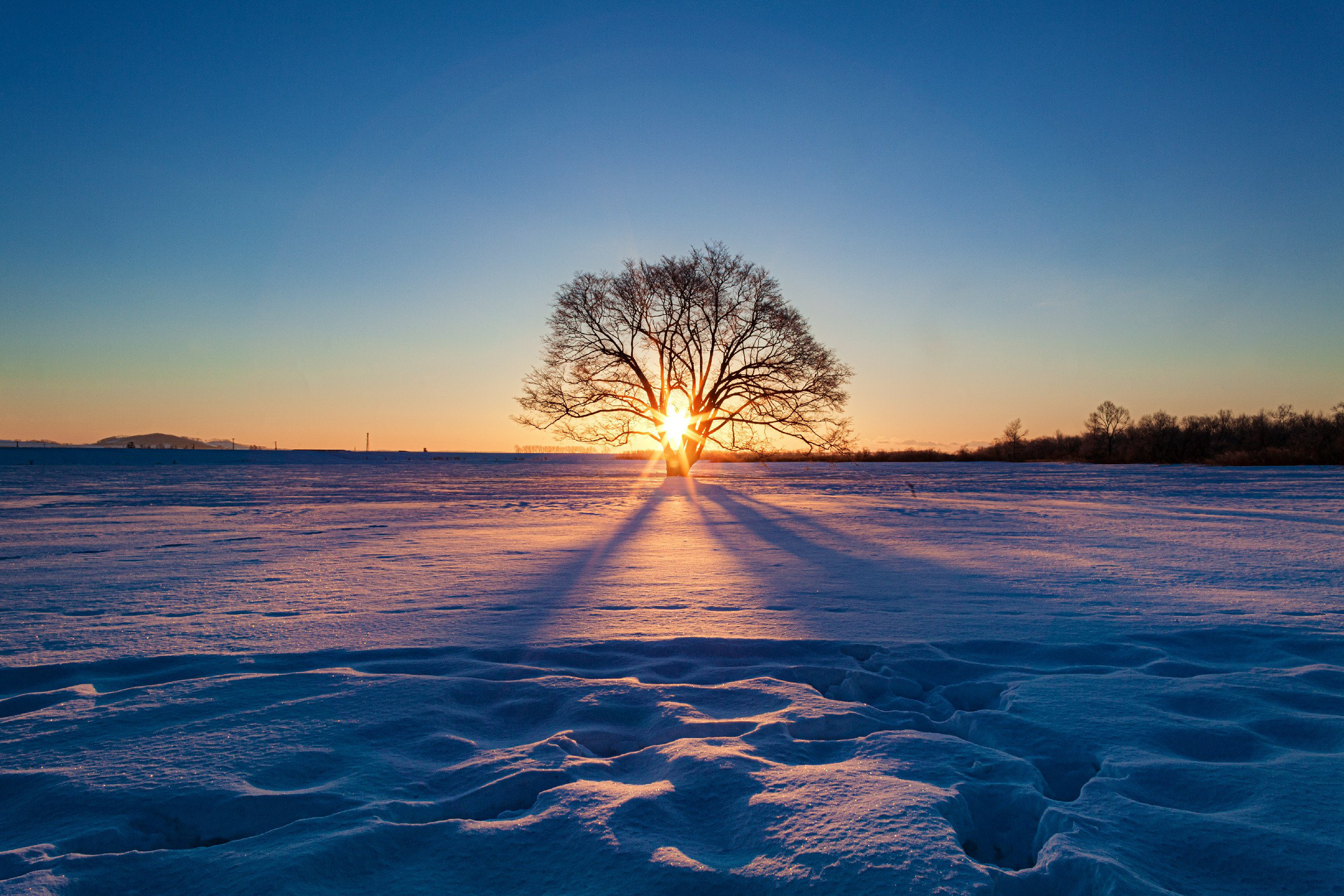 Ebern Designs Winter Daybreak Scenery by - Wrapped Canvas Photograph ...