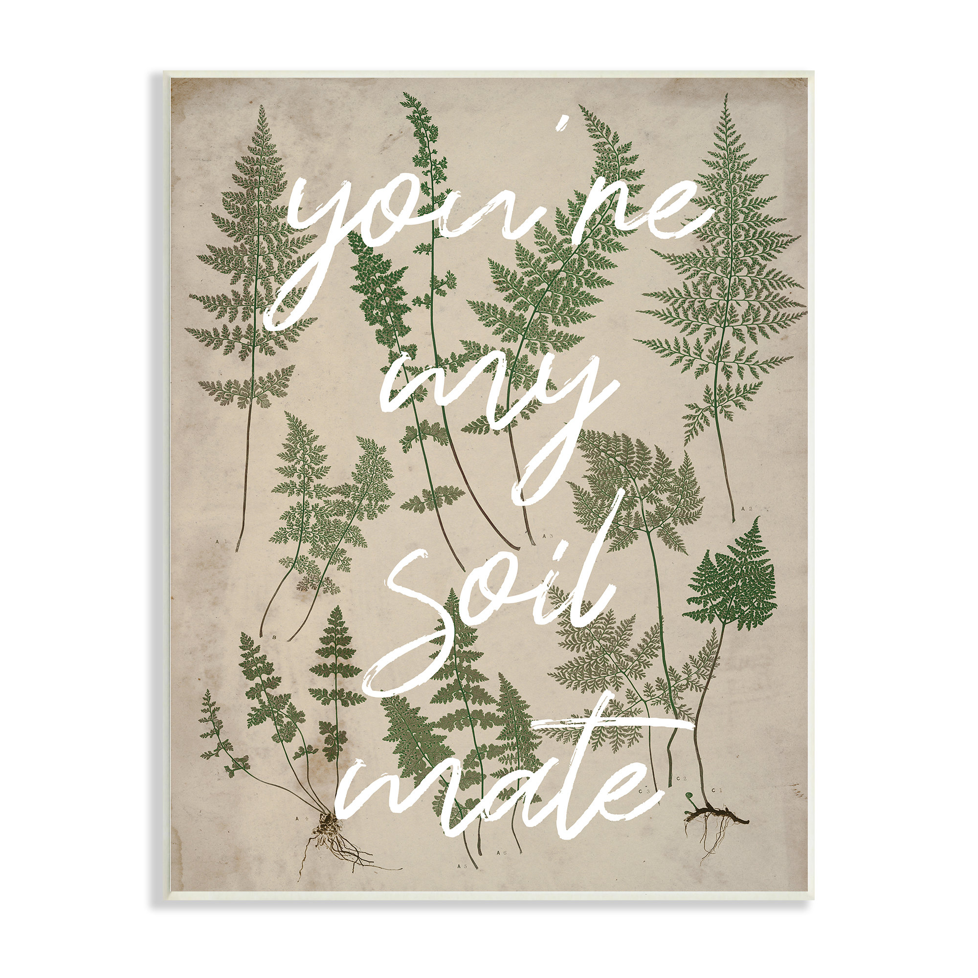 Stupell Industries You're My Soil Mate Rustic Fern Motif Calligraphy by ...