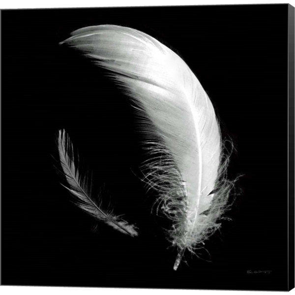 Dakota Fields Dream Feathers Sq by Ed Goldstein, Canvas Wall Art | Wayfair