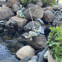 Design Toscano Frederic The Little Fisherman of Avignon Statue ...