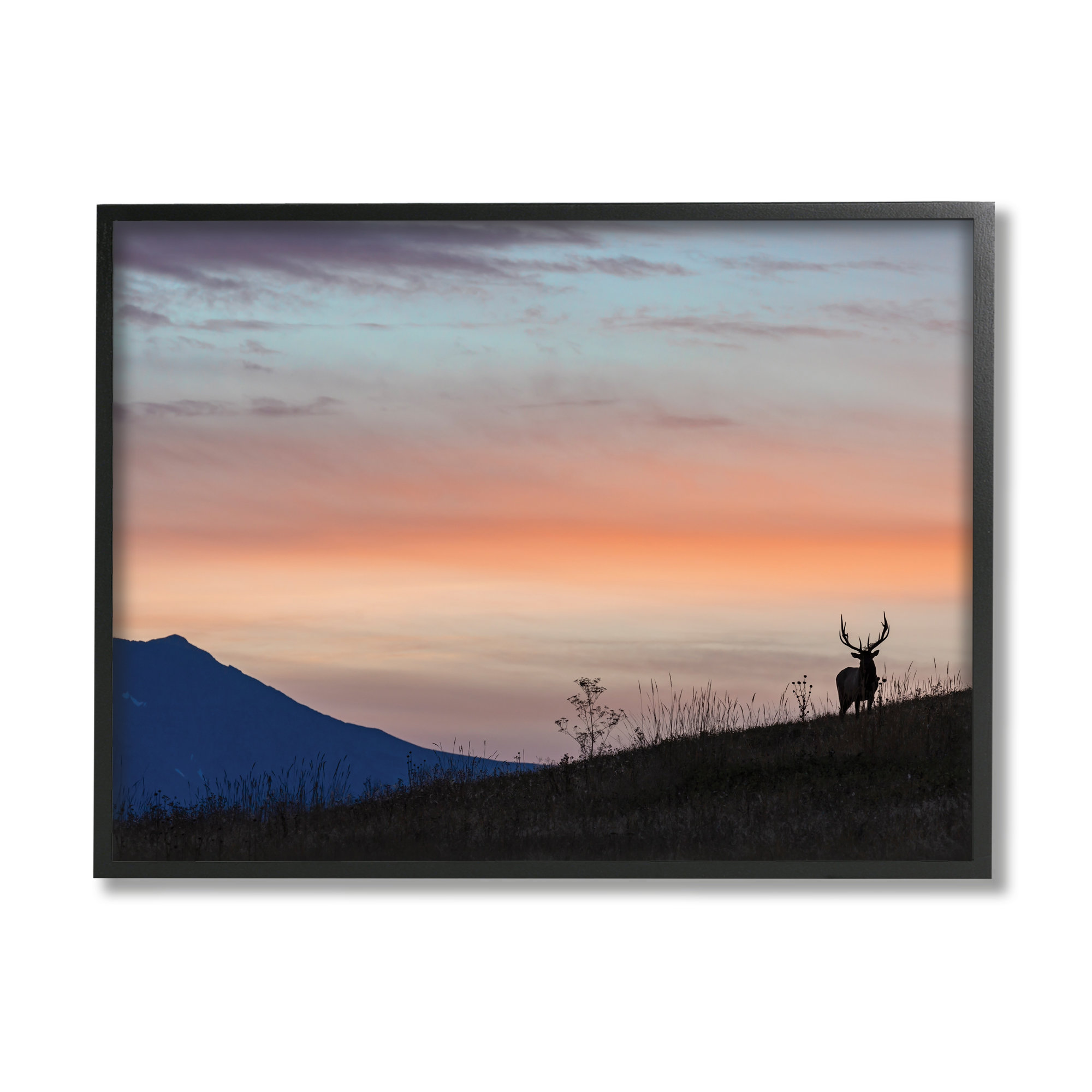 Stupell Industries Mountain Elk Sunset Silhouette Blush Orange Skyline ...