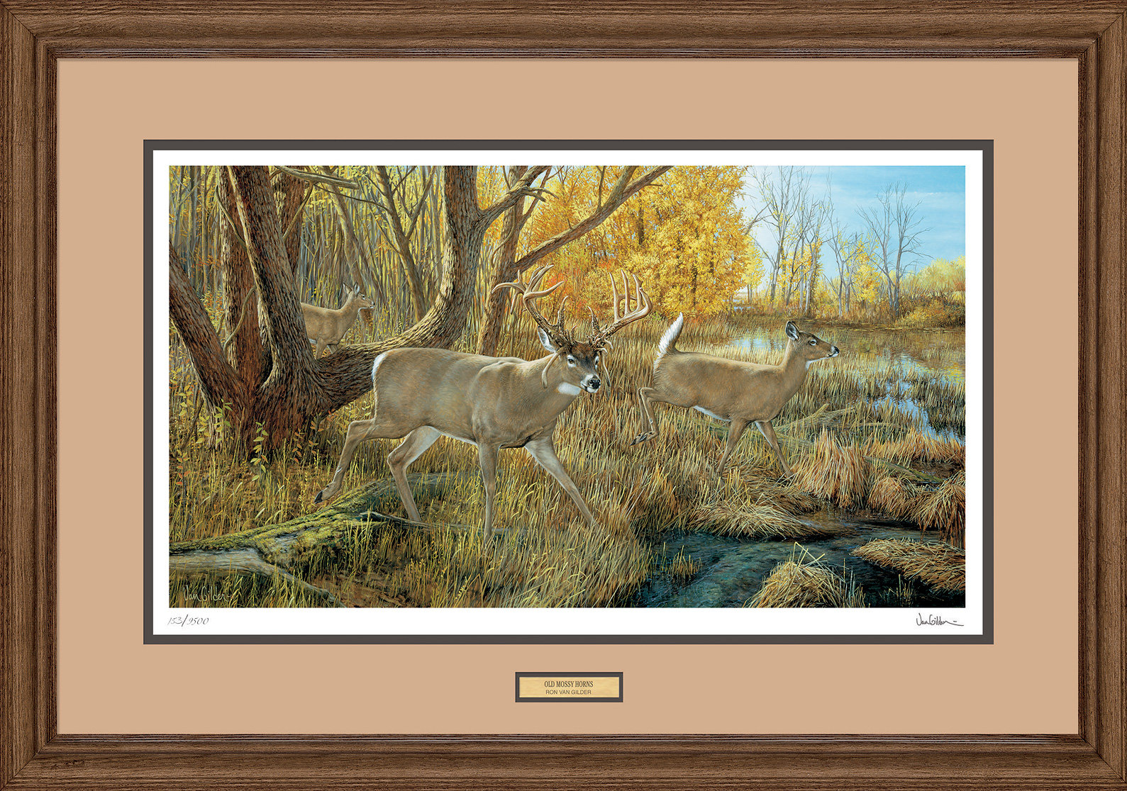 WildWings Ron Van Gilder - Picture Frame Print | Wayfair