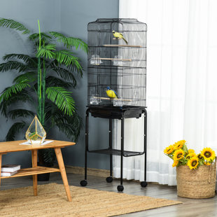 Bird Cages You'll Love in 2022 - Wayfair Canada