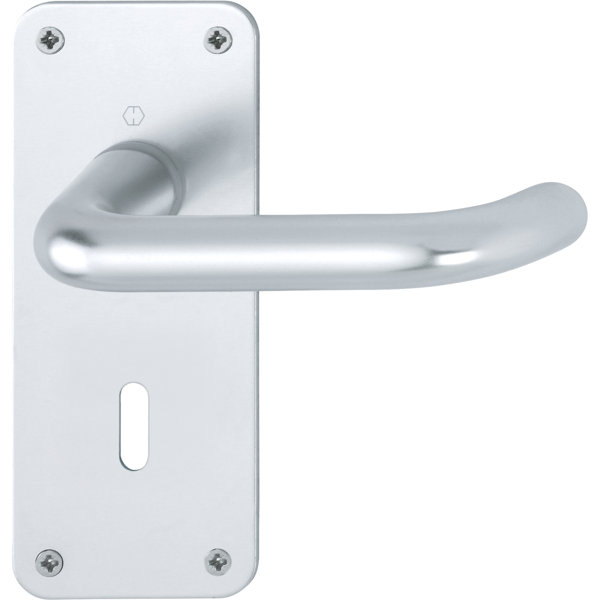 Symple Stuff Amalbergas Keyed Right Hand Door Handle | Wayfair.co.uk