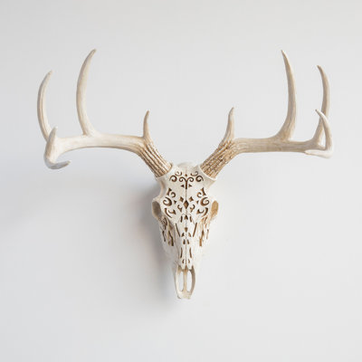 Union Rustic Faux Taxidermy Tribal Deer Skull Wall Décor & Reviews ...