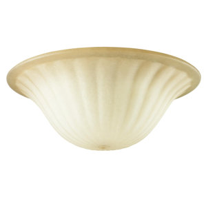 Ceiling Fan Bowl Shades You'll Love | Wayfair