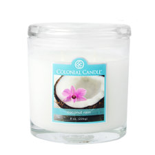 Furniture & Home Decor Search: pineapple jar | Wayfair