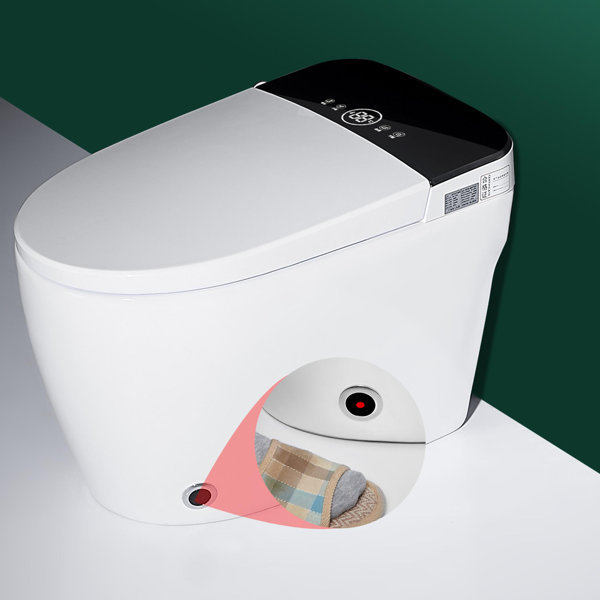COCO Dual-Flush Elongated One-Piece Smart Toilet With Glazed Surface ...