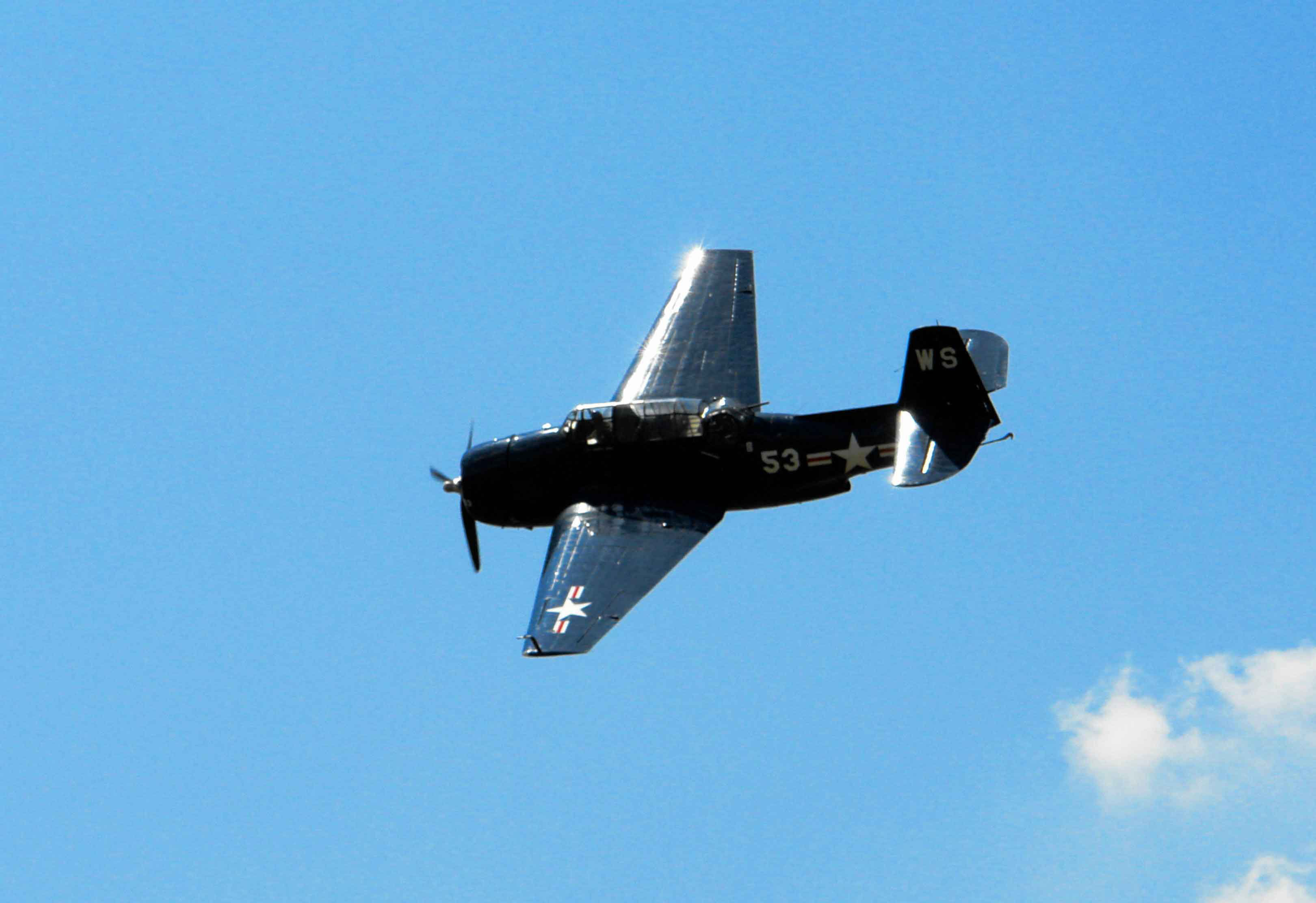 Wallhogs PFP Hellcat Wall Decal | Wayfair